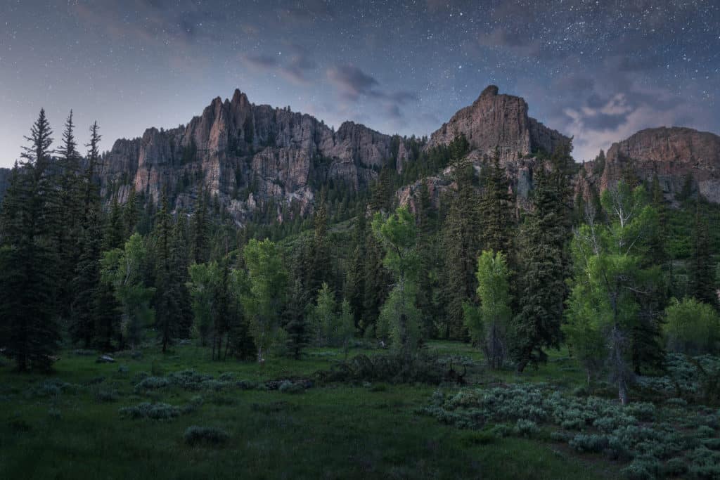 Roadless areas provide habitat for vulnerable species - The Wildlife ...