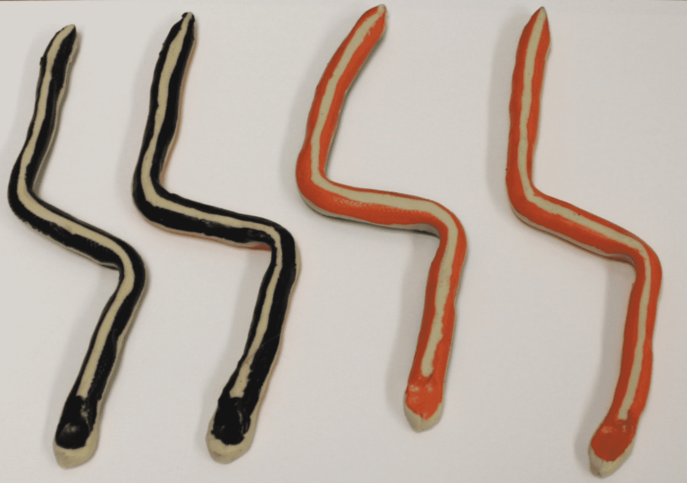 Do albino snakes face higher predation risk? - The Wildlife Society