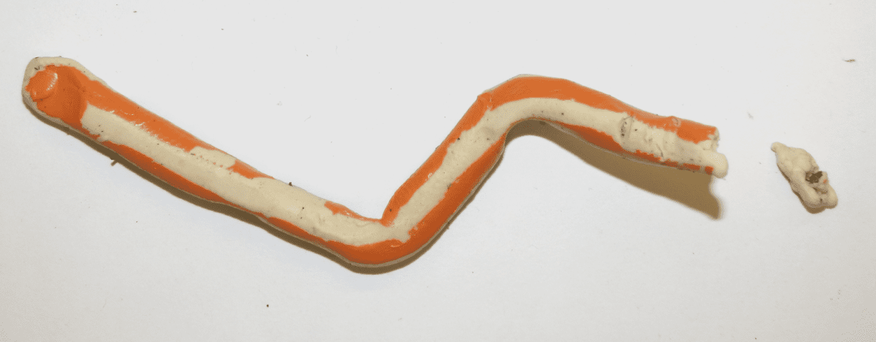 Do albino snakes face higher predation risk? - The Wildlife Society
