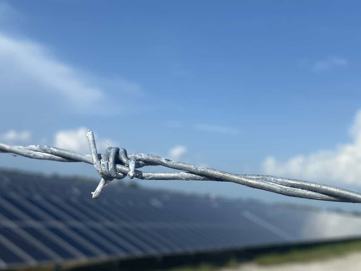 Solar facilities impede Florida panther movement - The Wildlife Society