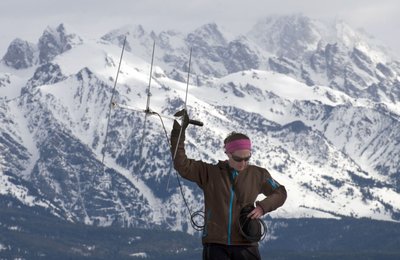 CMPS: Officers - The Wildlife Society