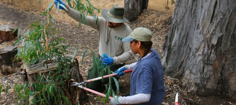 Biden launches America the Beautiful Challenge - The Wildlife Society