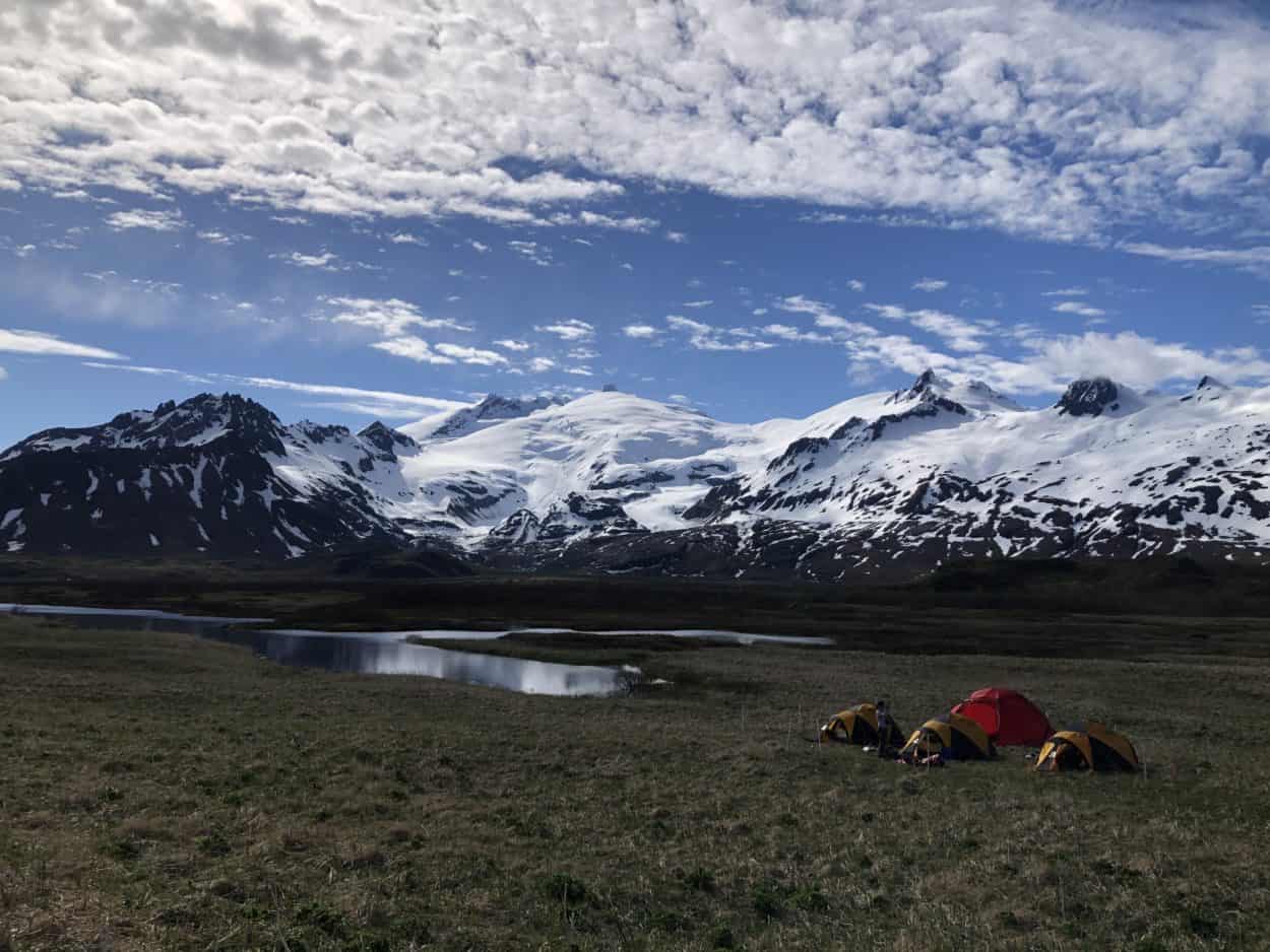 TWS2021: Katmai wolves prey on sea otters - The Wildlife Society