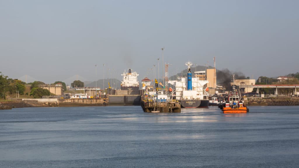 Manatees have crossed over to the Pacific - The Wildlife Society