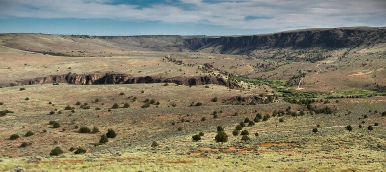 BLM prioritizes wildlife migration corridors - The Wildlife Society