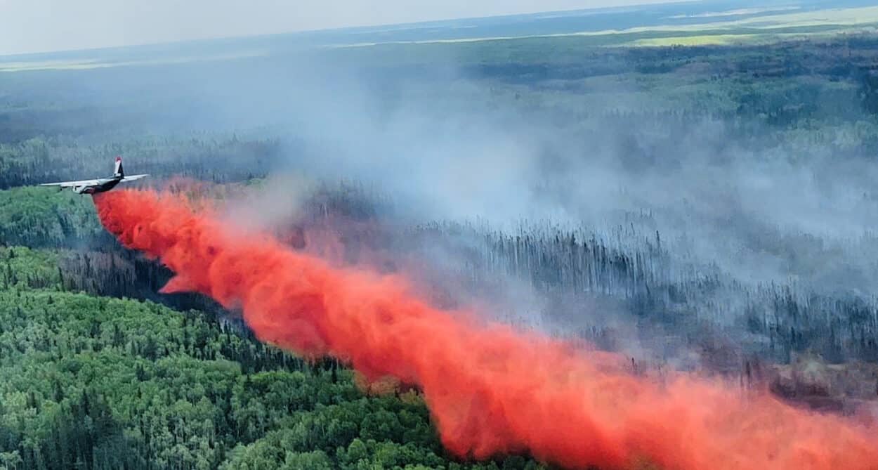 Watch: Canada’s Indigenous Guardian program continues to grow - The ...