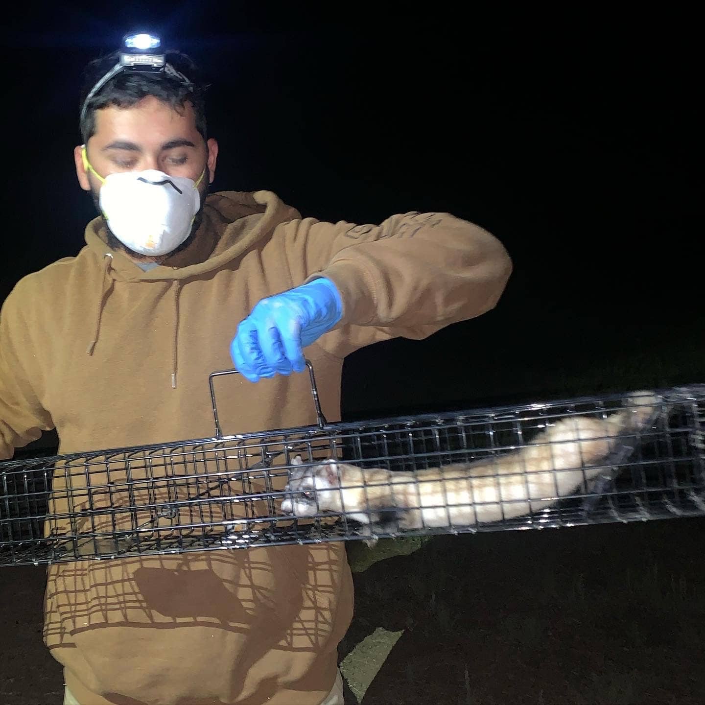 New policy intern joins TWS Government Affairs team - The Wildlife Society