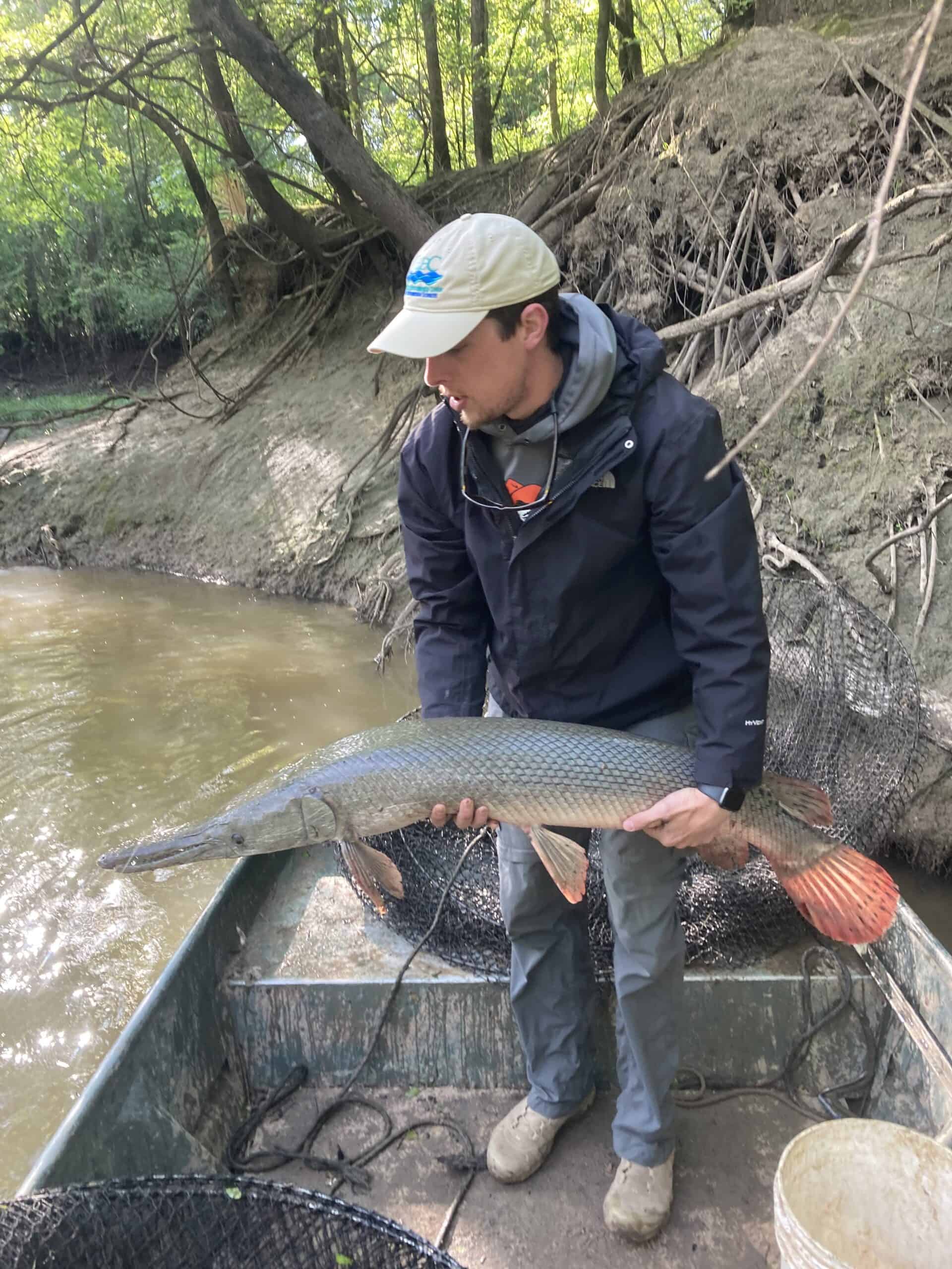 Wild Cam: Alligator snapping turtles doing well in Texas - The Wildlife ...