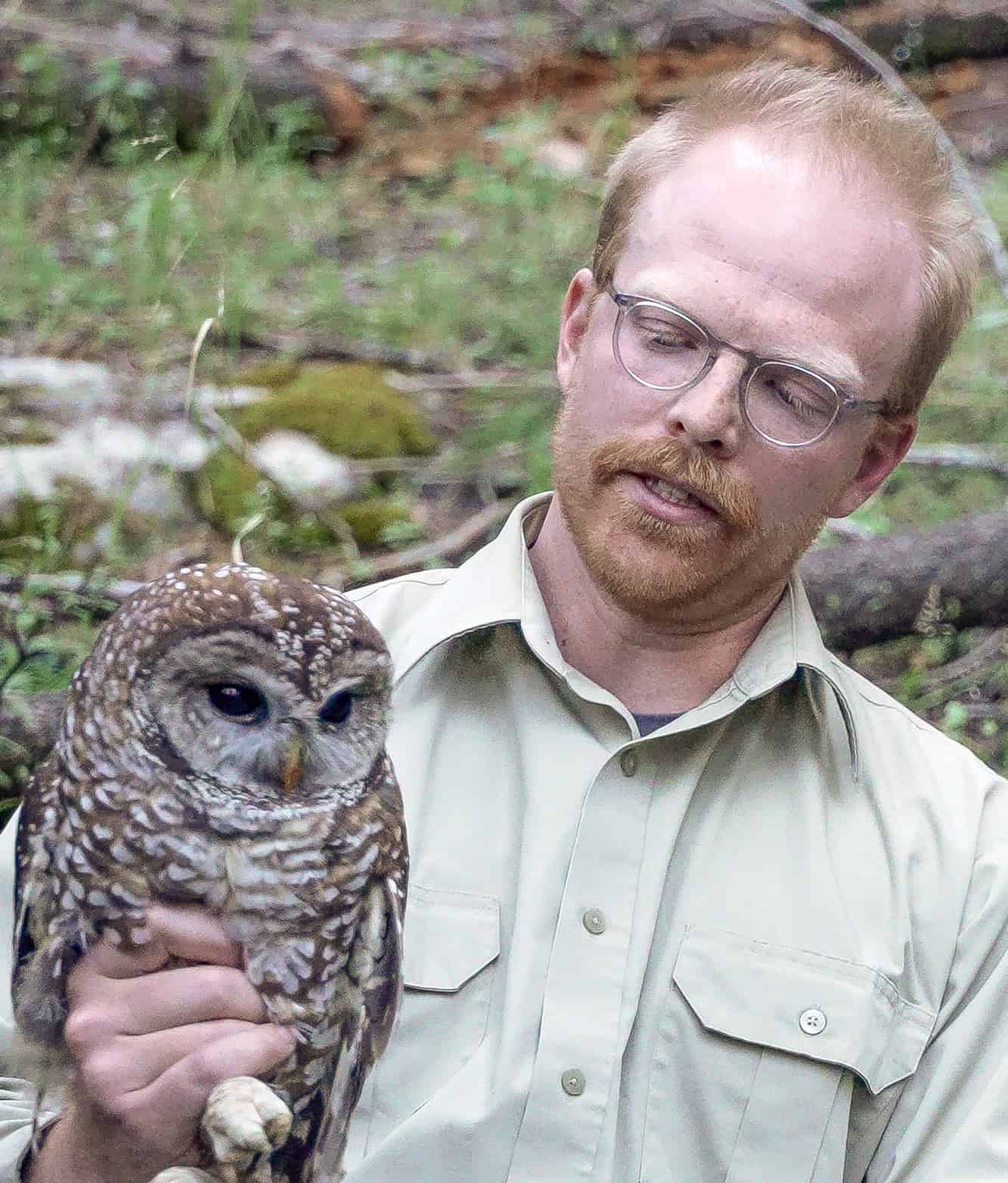 Q&A: Rapid-fire evolution in the Pyrocene - The Wildlife Society