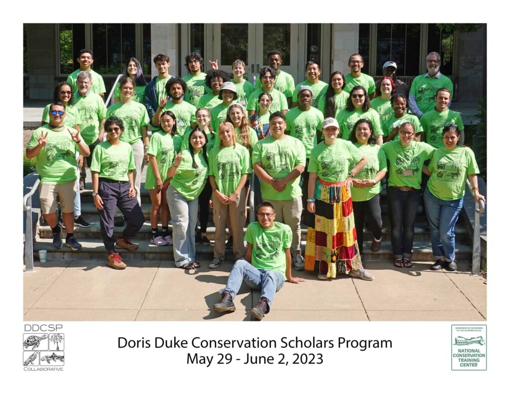 Burmese Pythons Dine on Marsh Rabbits - The Wildlife Society