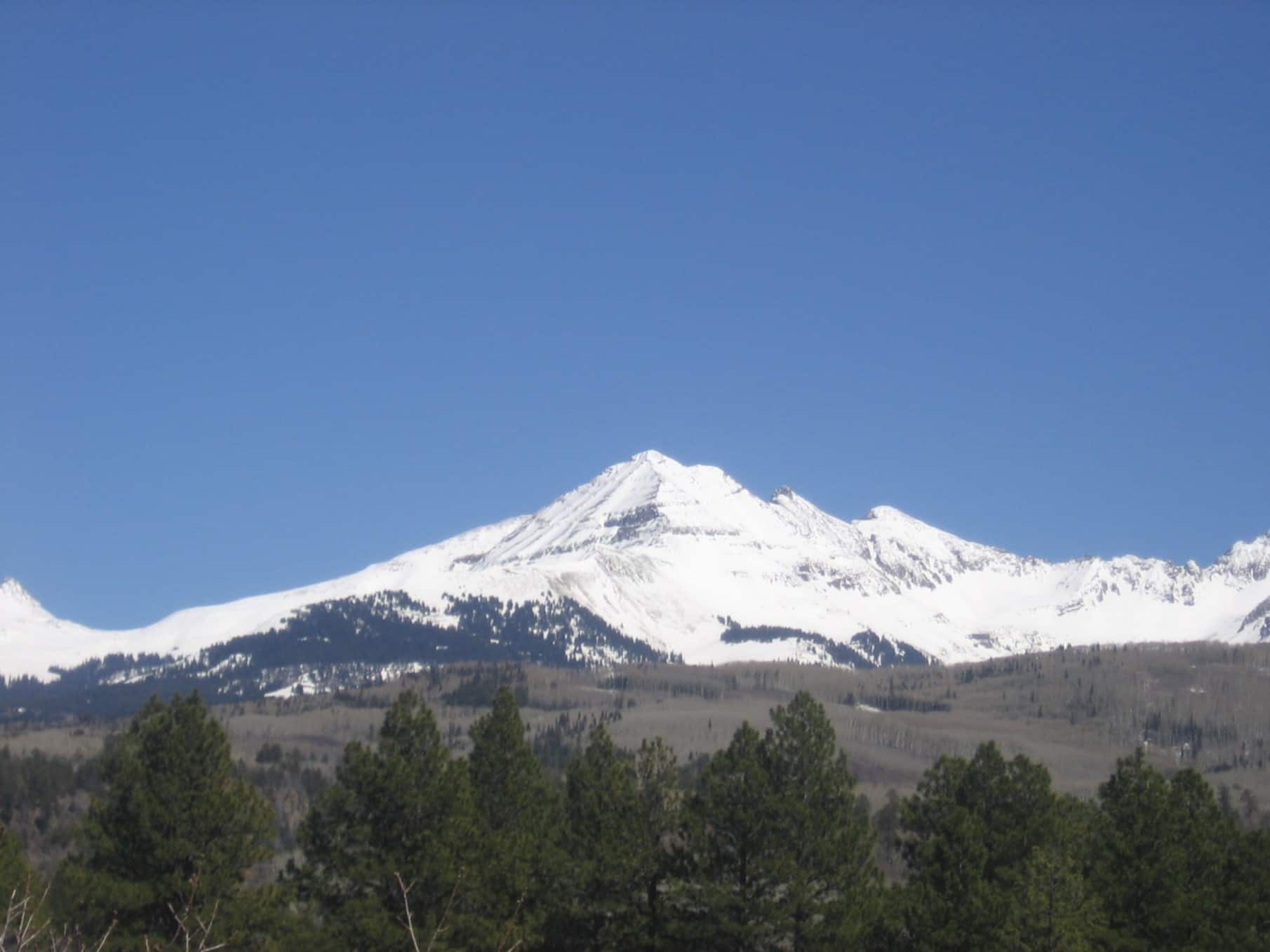 CMPS: Leadership Webinar for Wildlife Professionals - The Wildlife Society