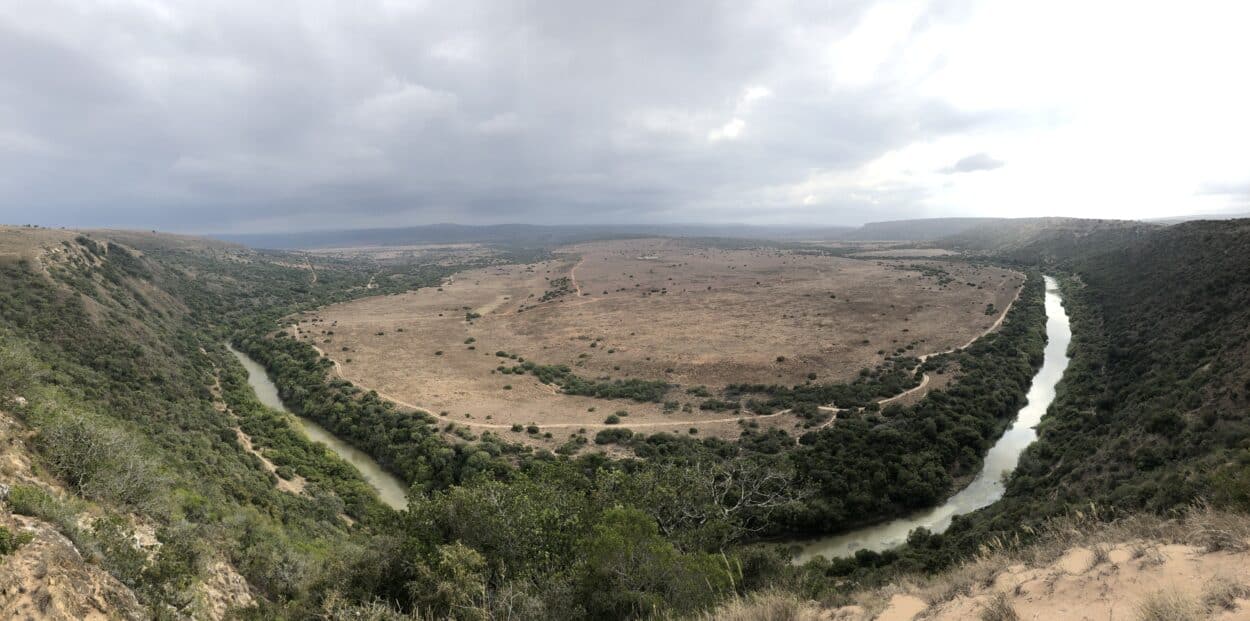 JWM: Swimming pools boost South African bat numbers - The Wildlife Society