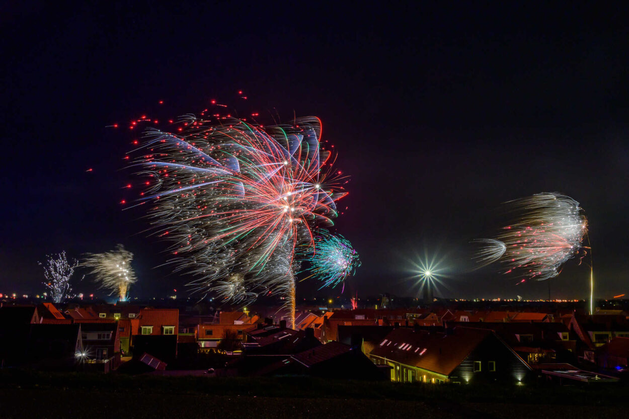 New Year’s Eve fireworks aren’t for the birds - The Wildlife Society