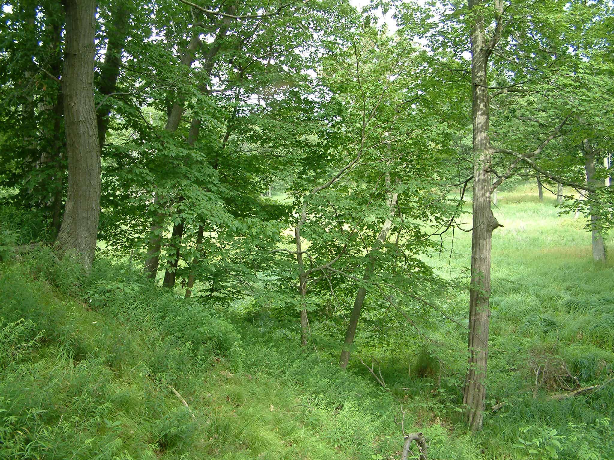 WM: Over three decades, a lost landscape is restored and researchers ...