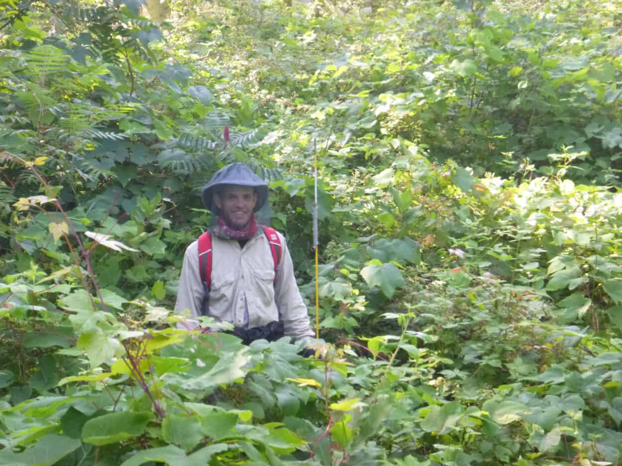WM: Over three decades, a lost landscape is restored and researchers ...