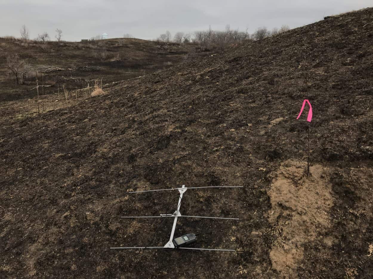 JWM: How to limit collateral damage to turtles when burning - The ...