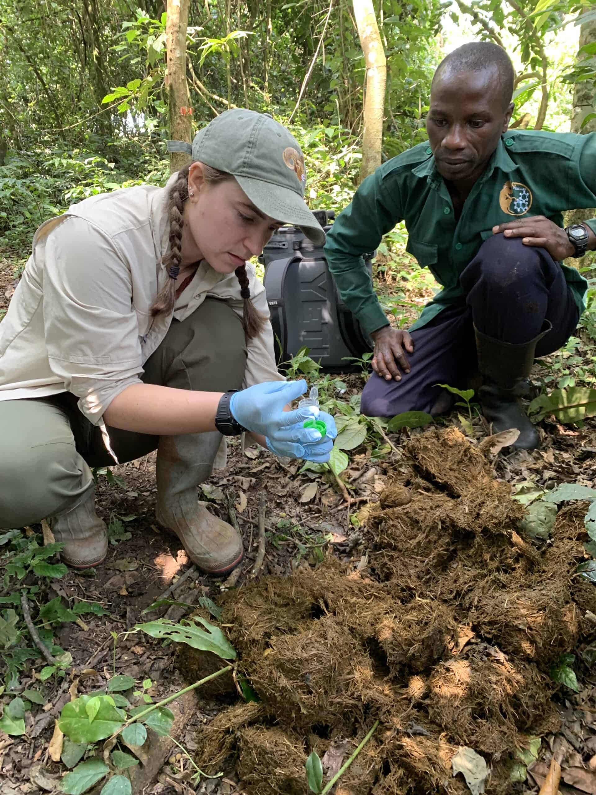 TWS 2023: How healthy are elephant hybrids? - The Wildlife Society