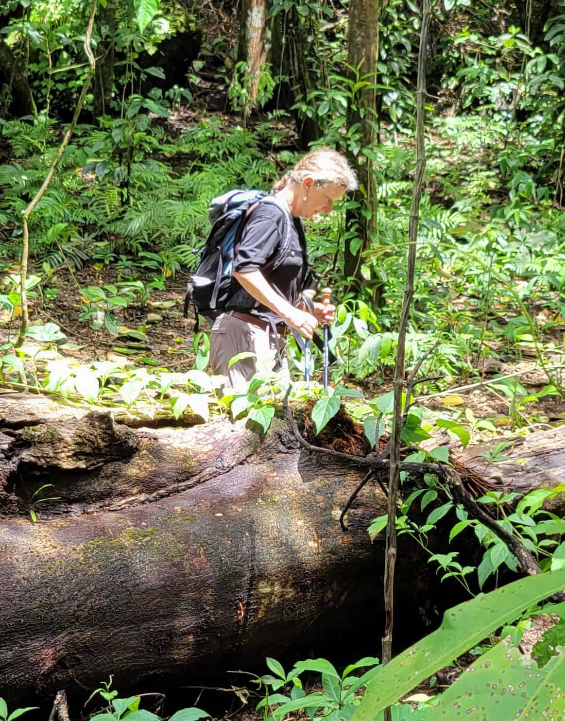 2024 TWS Elections: Southwest Representative - The Wildlife Society