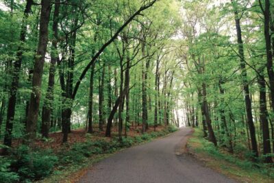 Ecosystem medicine: Effective integrated vegetation management - The ...