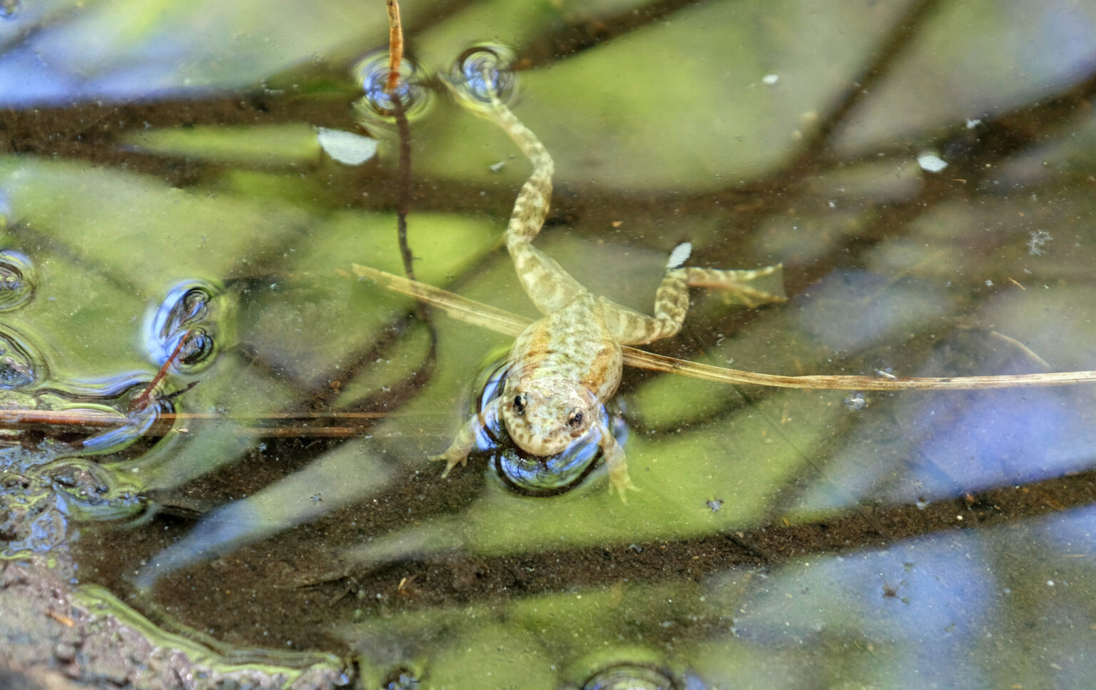 Downtown Cleveland: A conference experience not to miss - The Wildlife ...