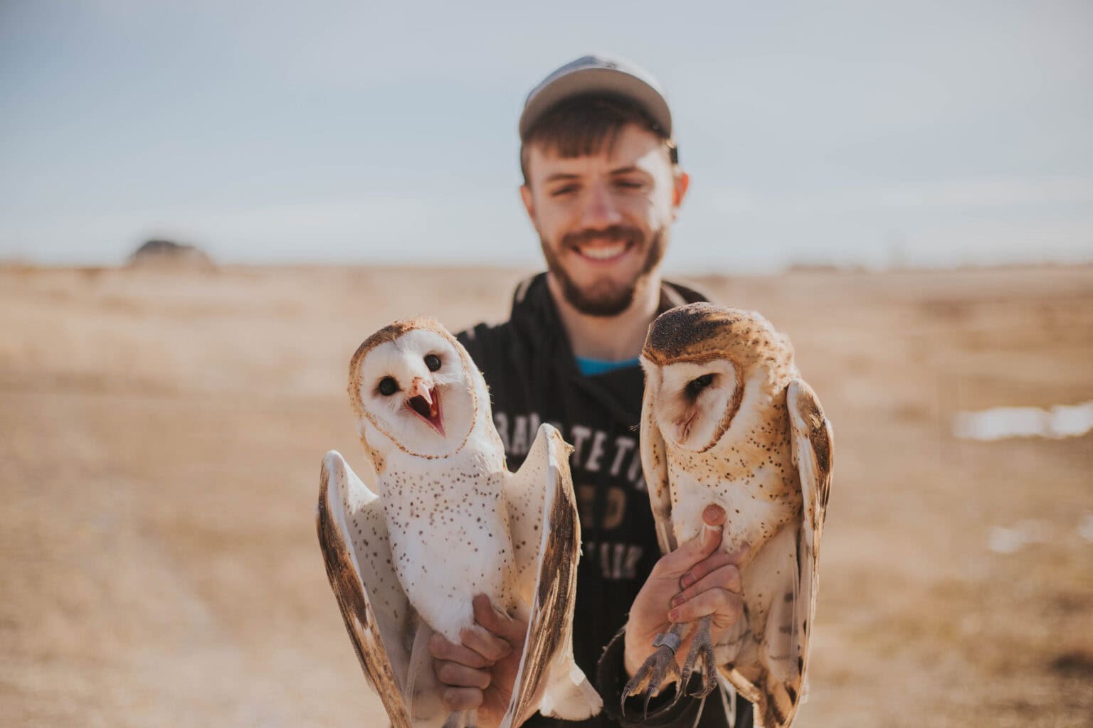 JWM: For barn owls, roads disrupt country living - The Wildlife Society