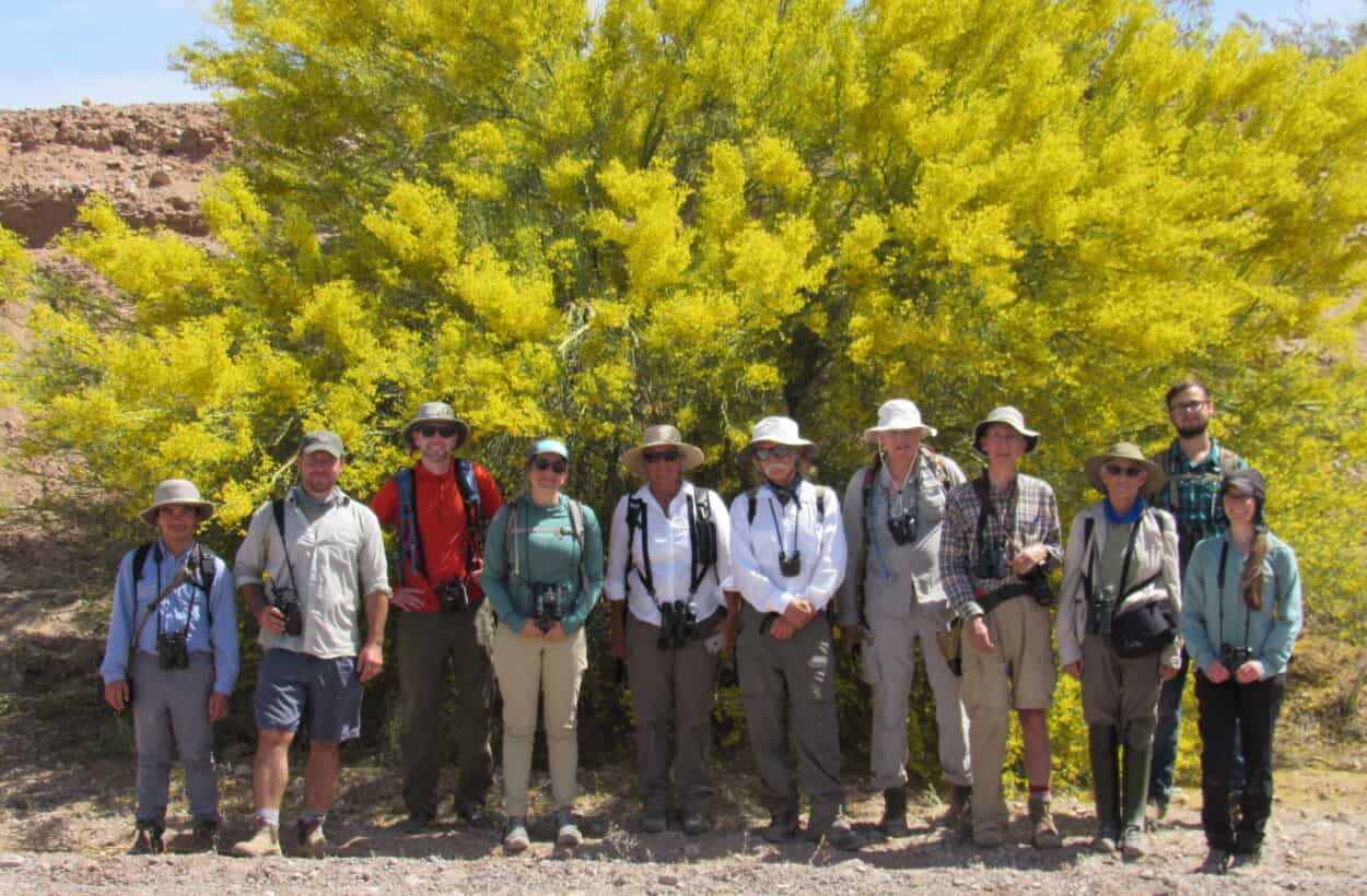 DNA Reveals Major Ivory Poaching Hotspots - The Wildlife Society