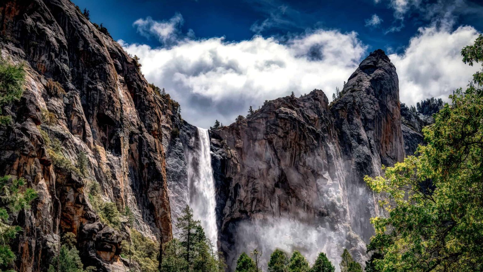 TWS welcomes 3 new staff members - The Wildlife Society