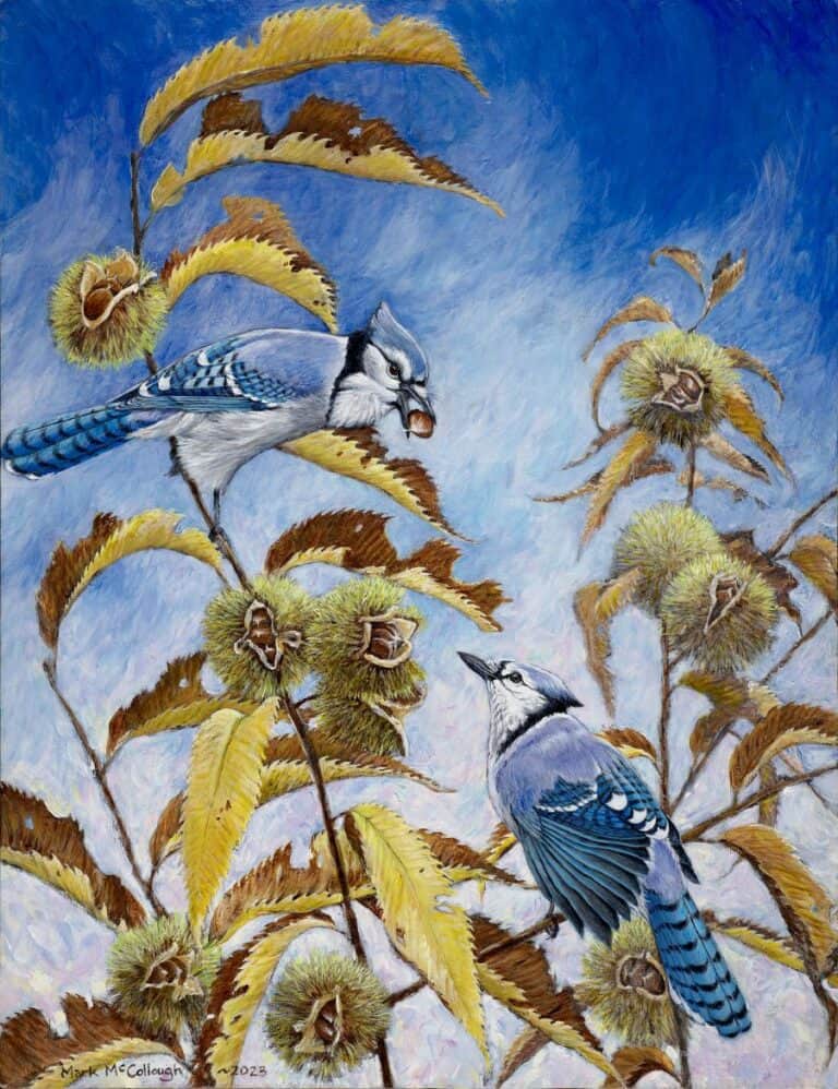 Mark McCollough receives “Ding” Darling Memorial Award - The Wildlife ...