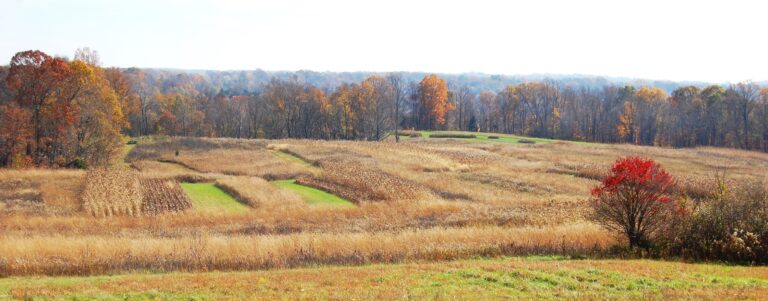Indiana Chapter - The Wildlife Society