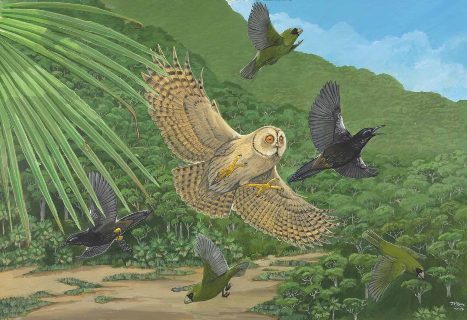 Bird extinctions led to 3 billion years of lost evolution - The ...