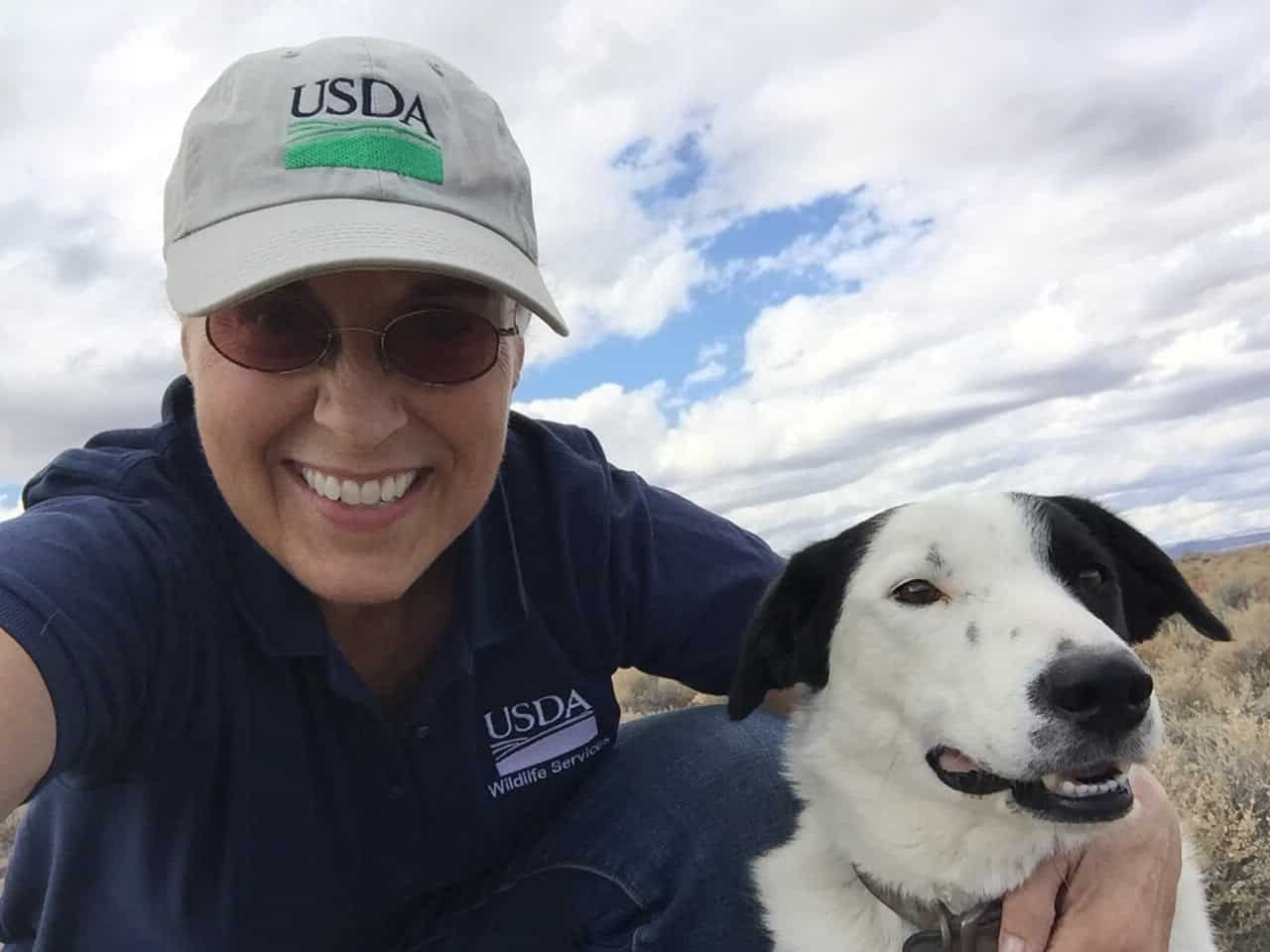 USDA-APHIS Wildlife Services deputy administrator announces retirement ...