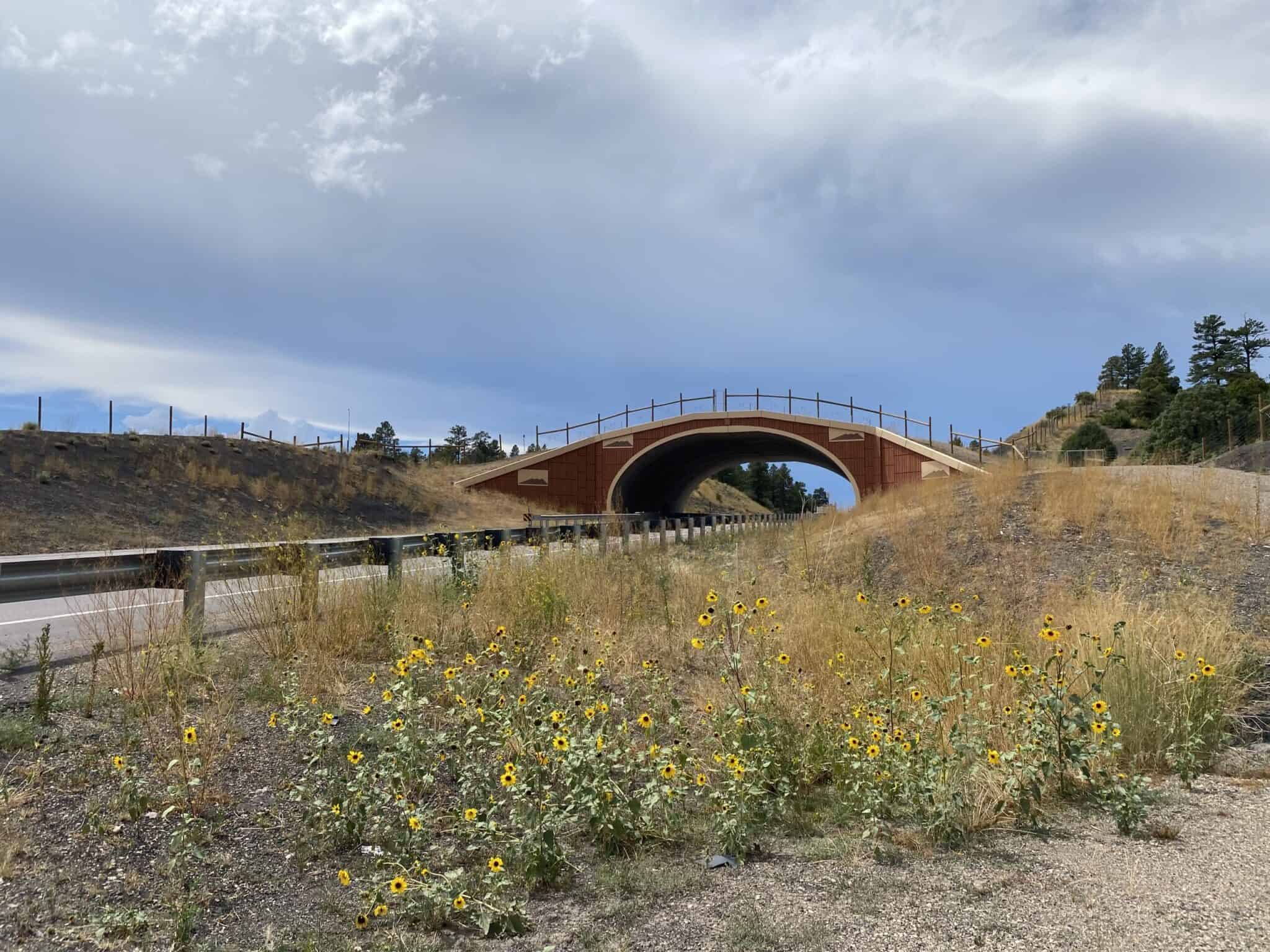 When building crossing structures, consider climate change - The ...