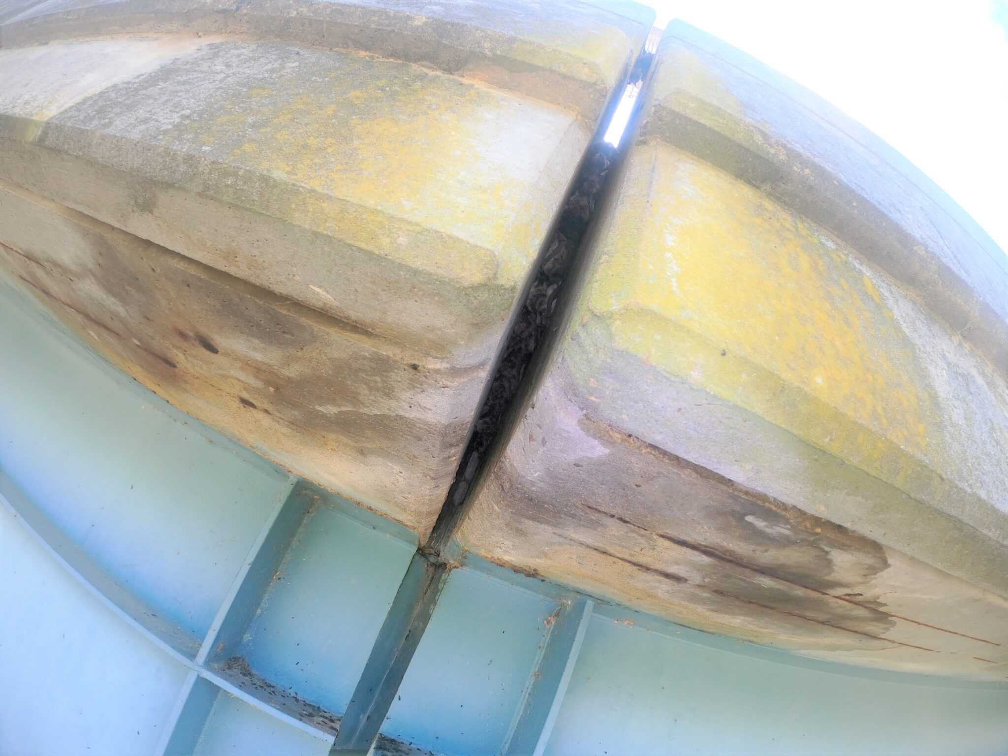 TWS2024: Environmental DNA reveals bat roosts under bridges - The ...