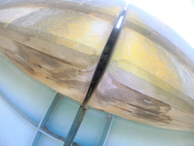 TWS2024: Environmental DNA reveals bat roosts under bridges - The ...