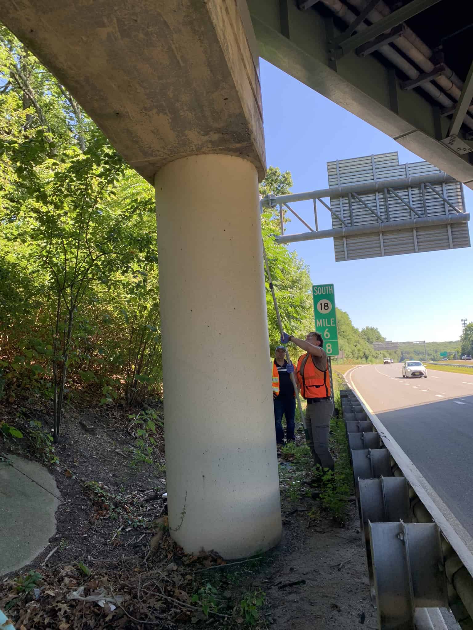 TWS2024: Environmental DNA reveals bat roosts under bridges - The ...