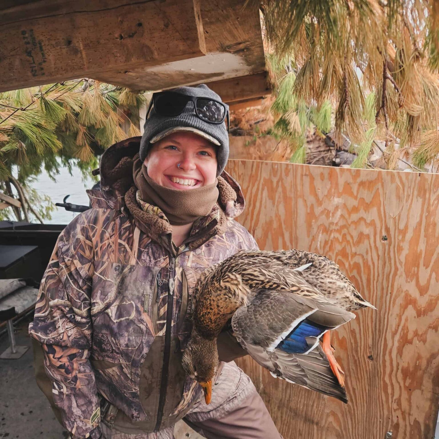 Here are the top 10 wildlife stories of 2023 - The Wildlife Society