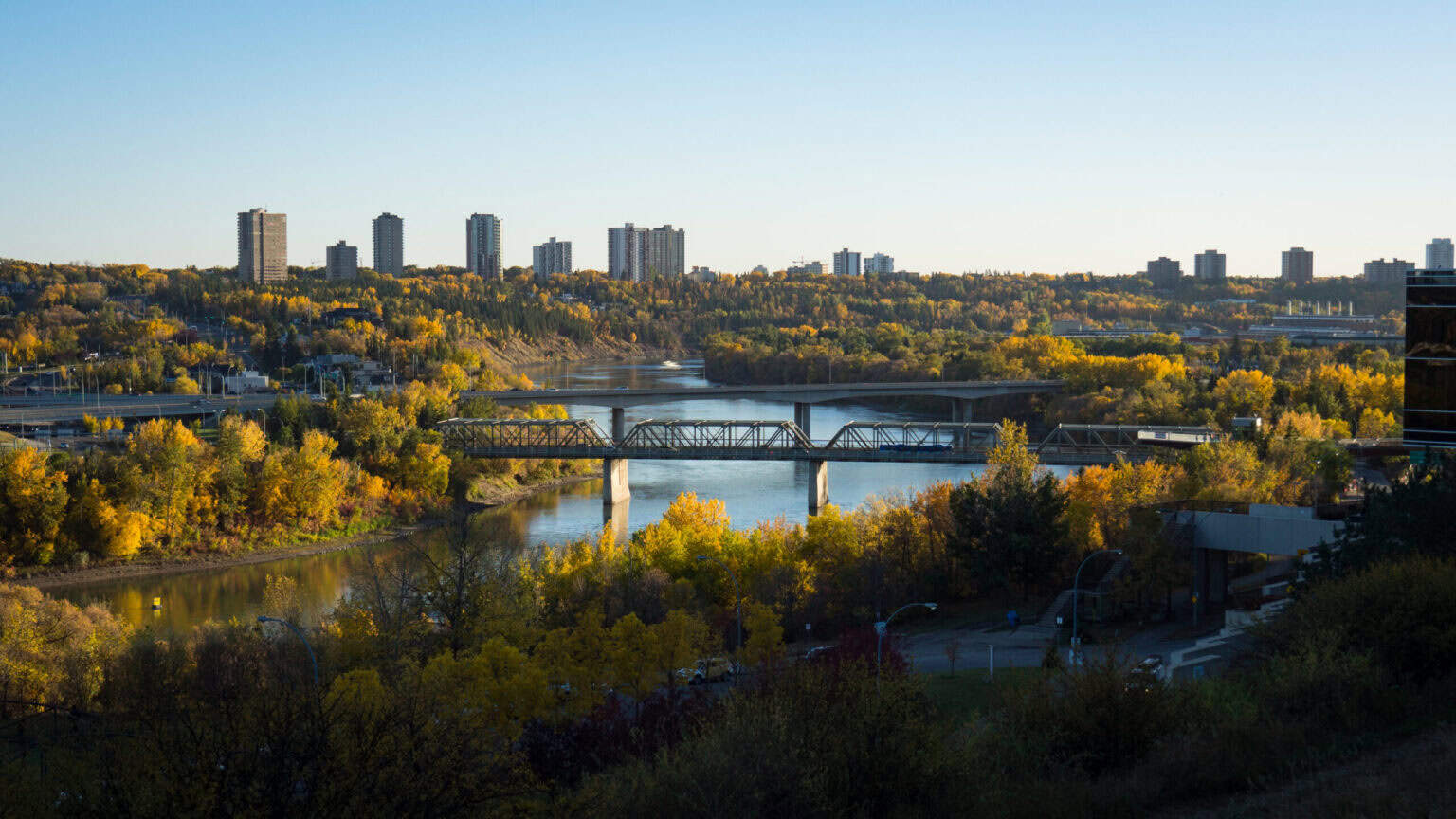 USFWS proposed to list tricolored bats as endangered - The Wildlife Society