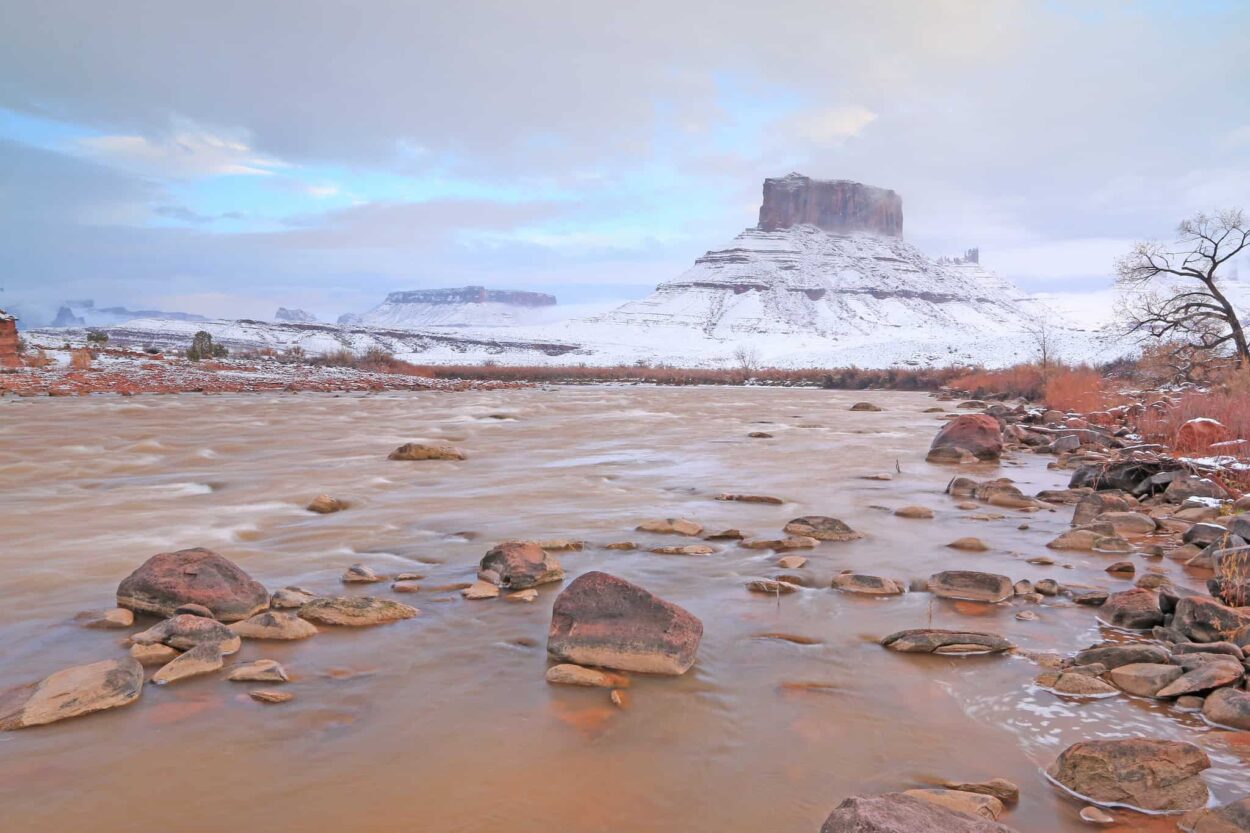 Q&A: Missing wolves, forgotten landscapes and lost knowledge - The ...