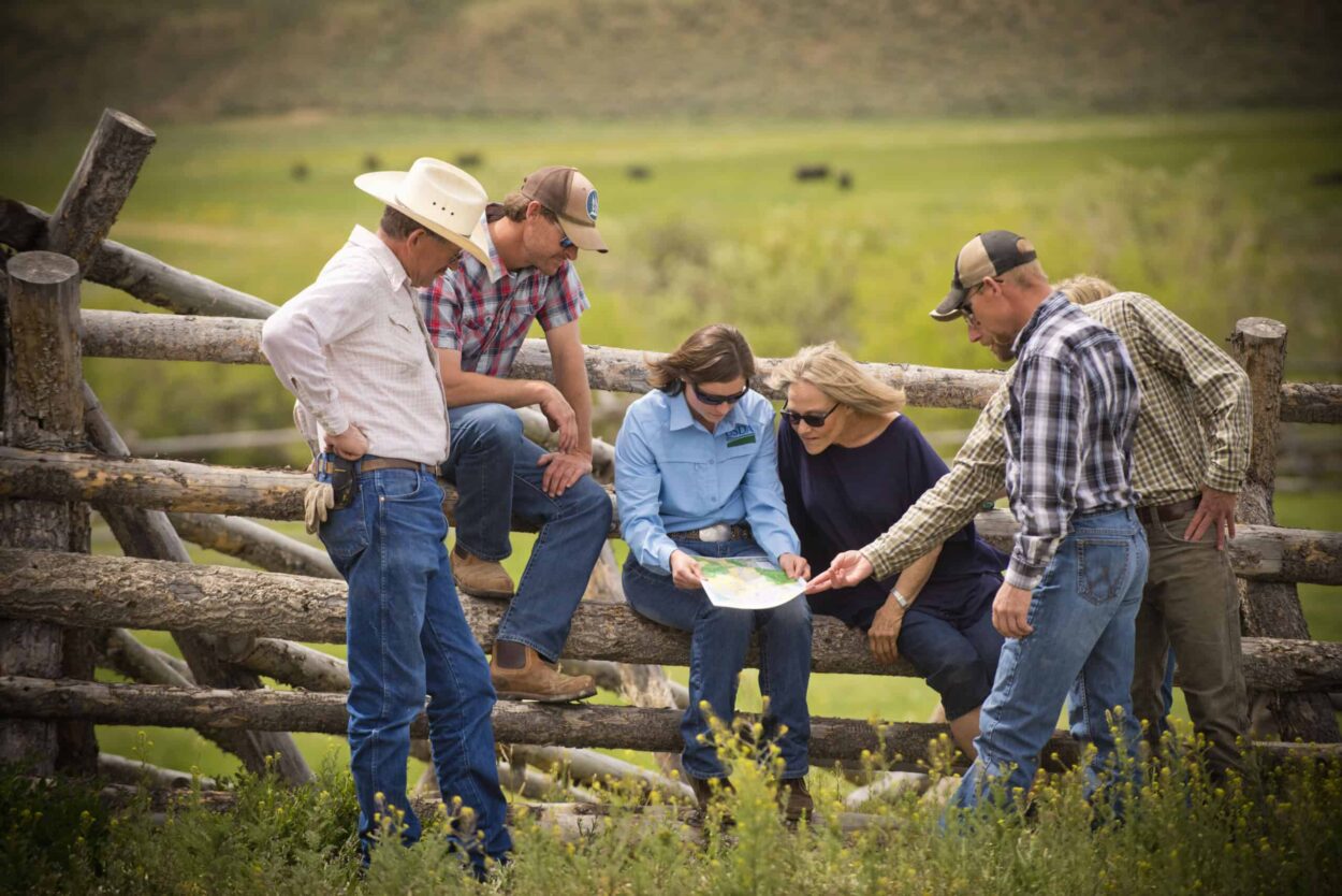 USFWS proposed to list tricolored bats as endangered - The Wildlife Society