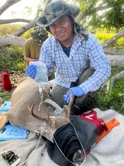 Wildlife Vocalizations: Johny Tzib - The Wildlife Society