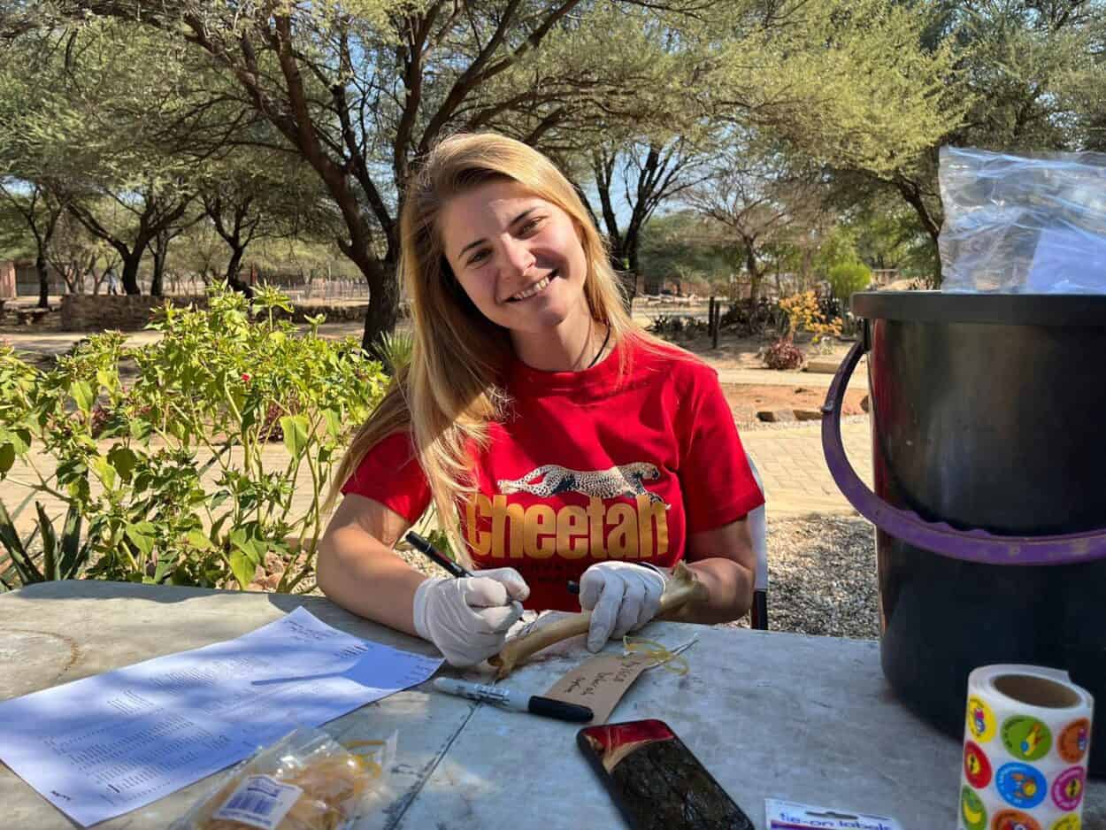 TWS 2024: Lead is ‘silently poisoning’ captive cheetahs - The Wildlife ...