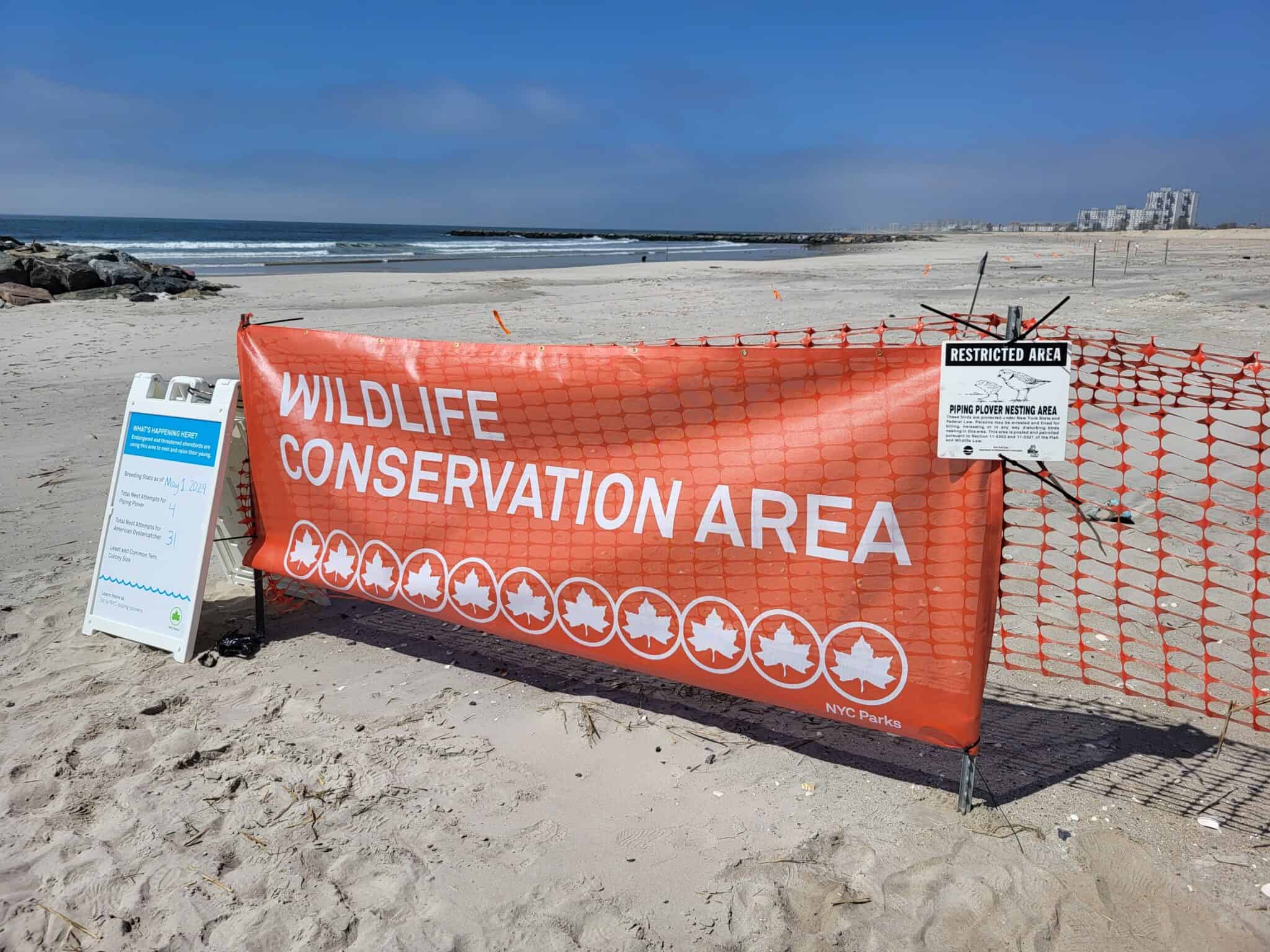 Plovers on the edge - The Wildlife Society