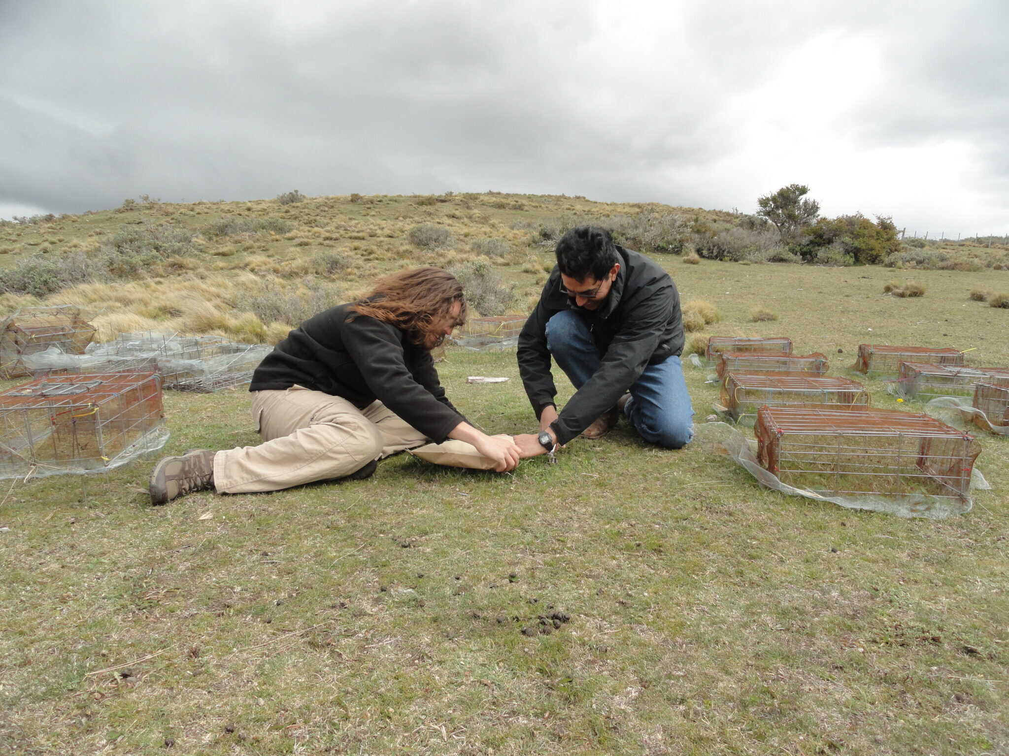 TWS welcomes incoming president Fidel Hernández - The Wildlife Society