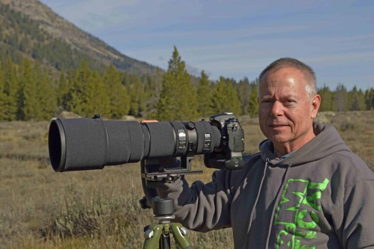 35-year study sheds new light on alligators’ lifespan - The Wildlife ...