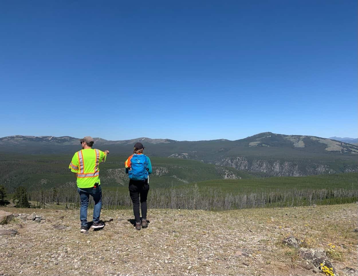 An herbivore by any other name - The Wildlife Society