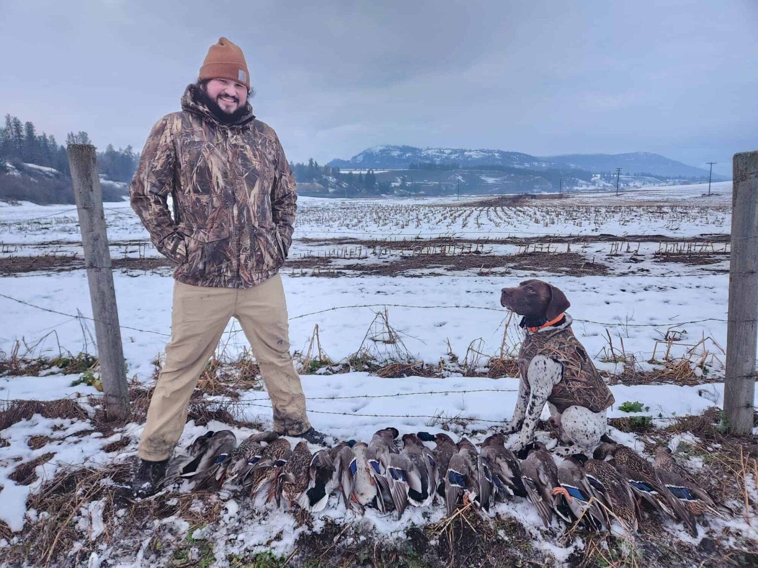 Canadian ‘Super pigs’ pose threat to U.S. - The Wildlife Society