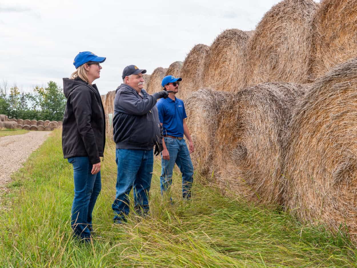 Why are there no rats in Alberta? - The Wildlife Society