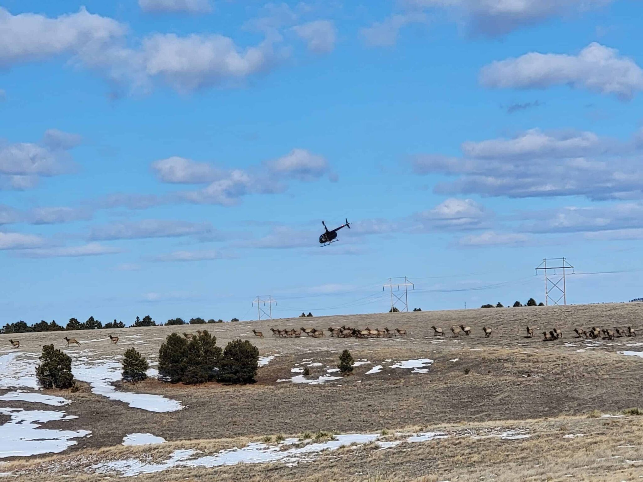 TWS Position Statement: The North American Model and the Future of ...