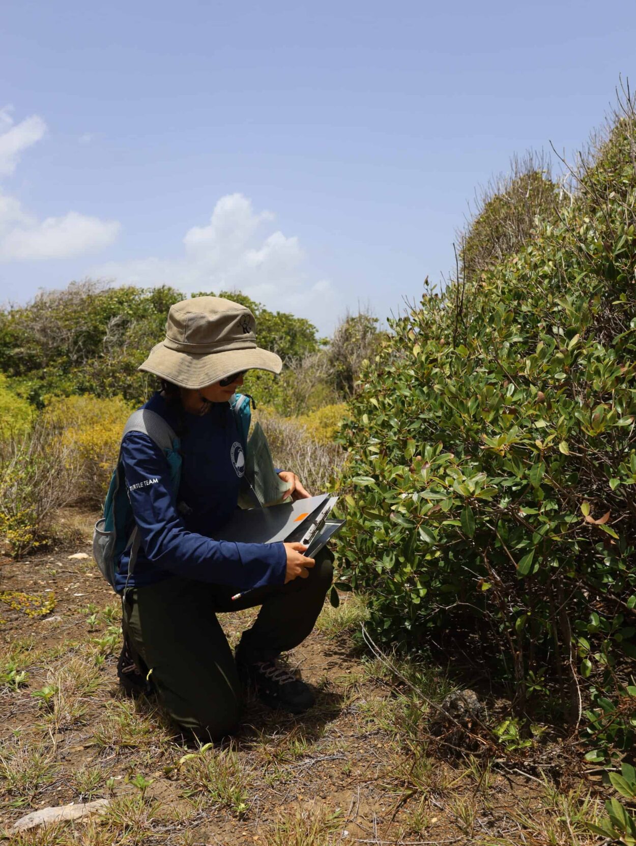 Why are there no rats in Alberta? - The Wildlife Society