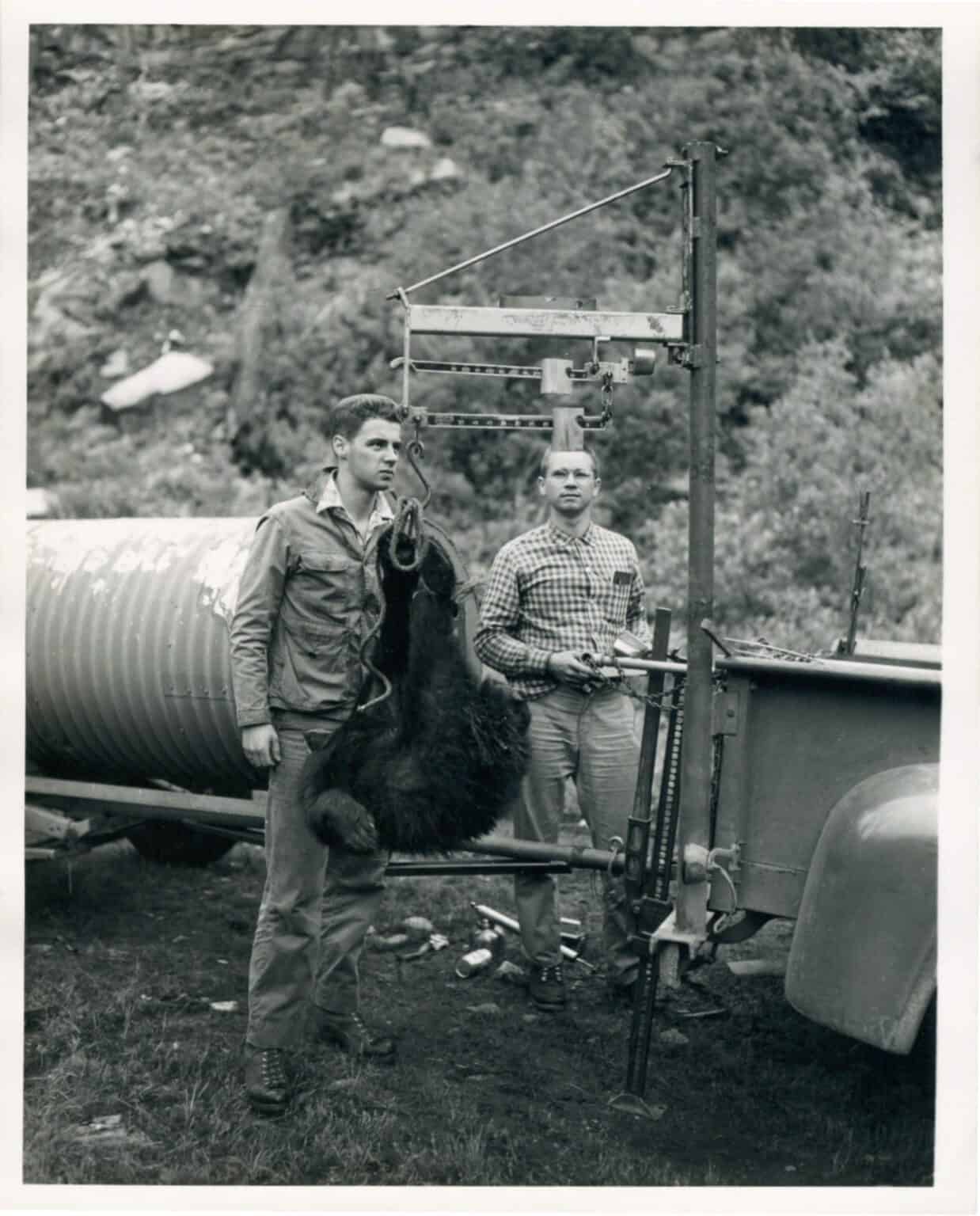 Improvements to fladry - The Wildlife Society